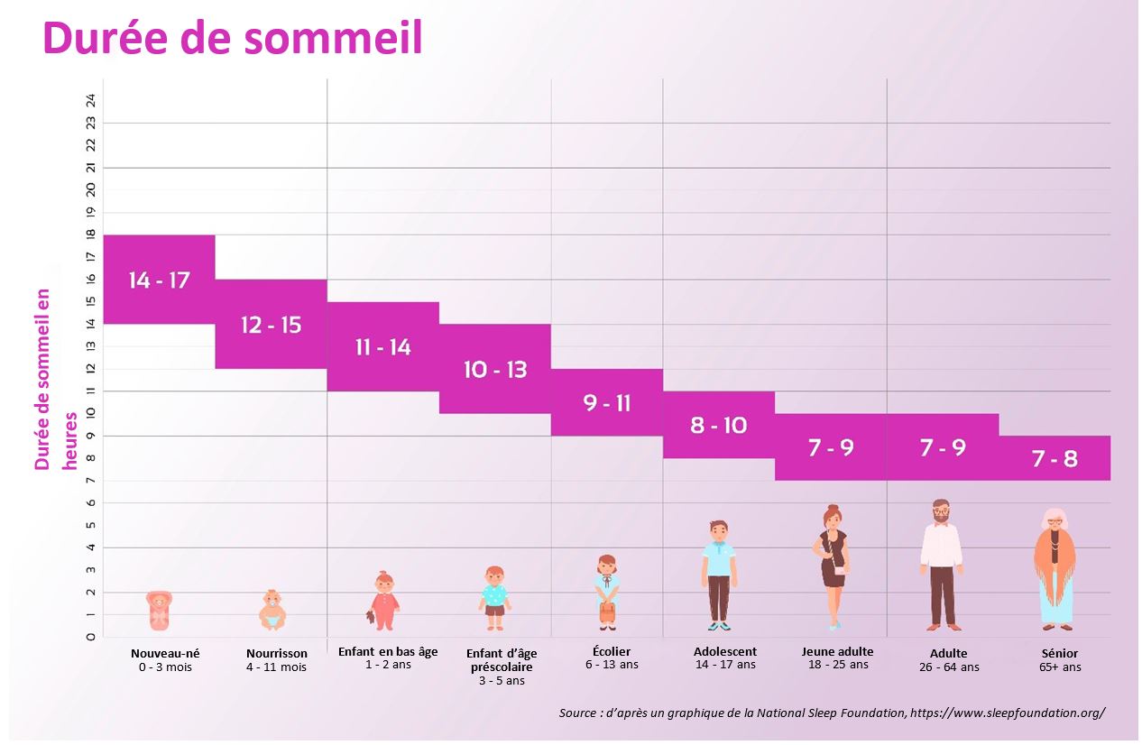 durée moyenne sommeil – durée de sommeil d’un chat – Filmisfine durée moyenne sommeil – durée de sommeil d’un chat – Filmisfine